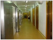 What we do Linkage Foods