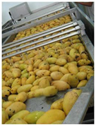 What we do Linkage Foods