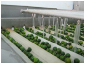 What we do Linkage Foods